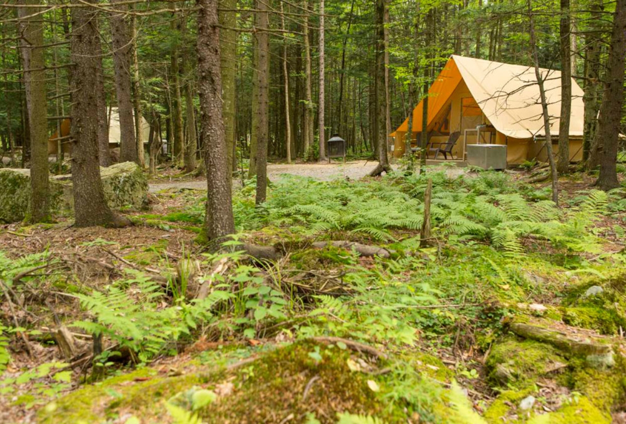 Camping du Parc national de la Yamaska - Granby région
