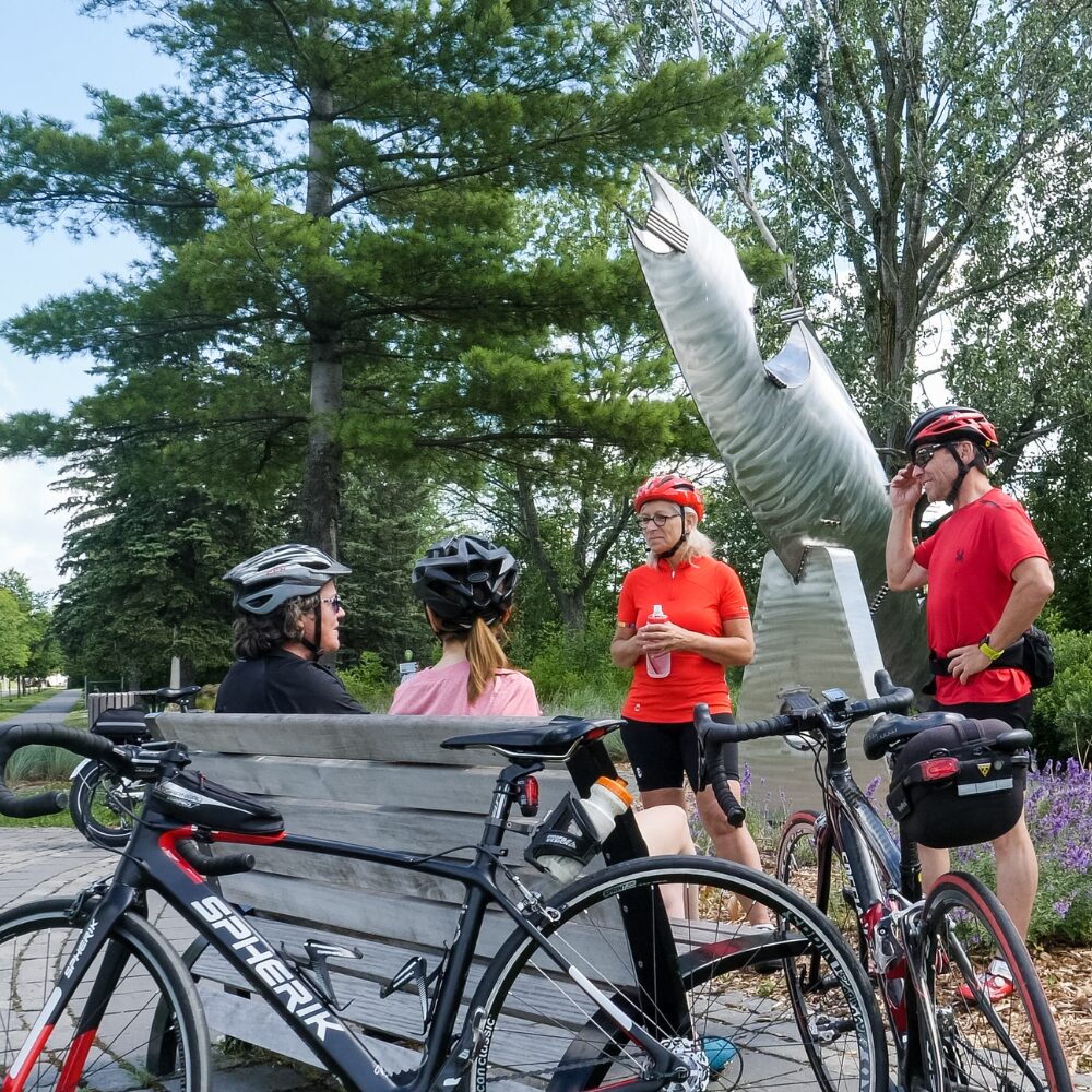 3 boucles vélo incontournables à rouler dans les Cantons-de-l’Est ...